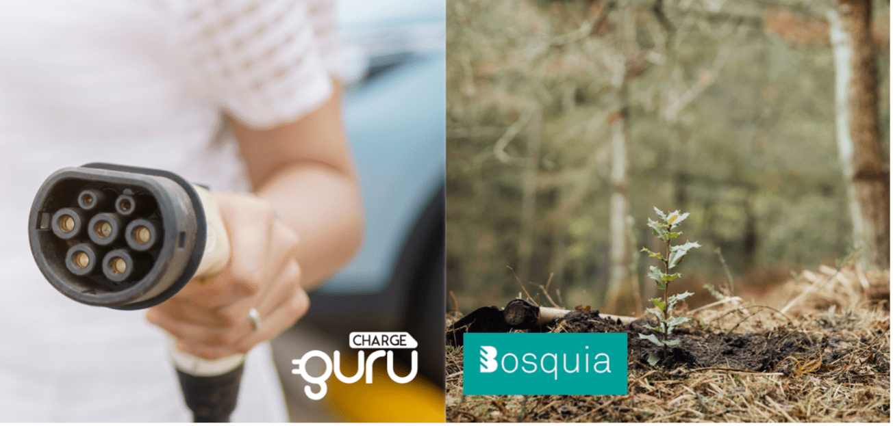 ChargeGuru reforestará un bosque con las instalaciones de puntos de ...